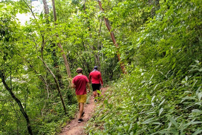 Selva y Playas Exóticas, Senderismo en Puerto Vallarta - What Reviewers Say: Authentic Insights