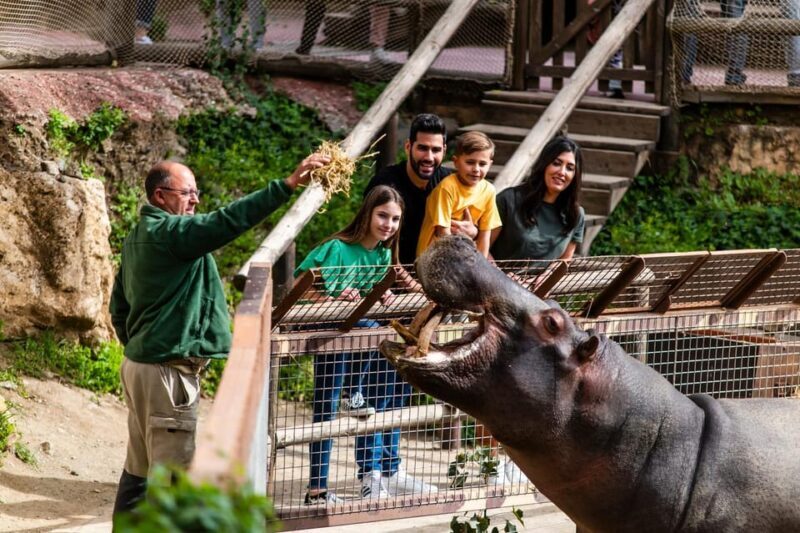 Selwo Aventura Admission Ticket with Skip-the-Line Access - Exploring the Wild at Selwo Aventura: A Detailed Review of the Admission Ticket with Skip-the-Line Access