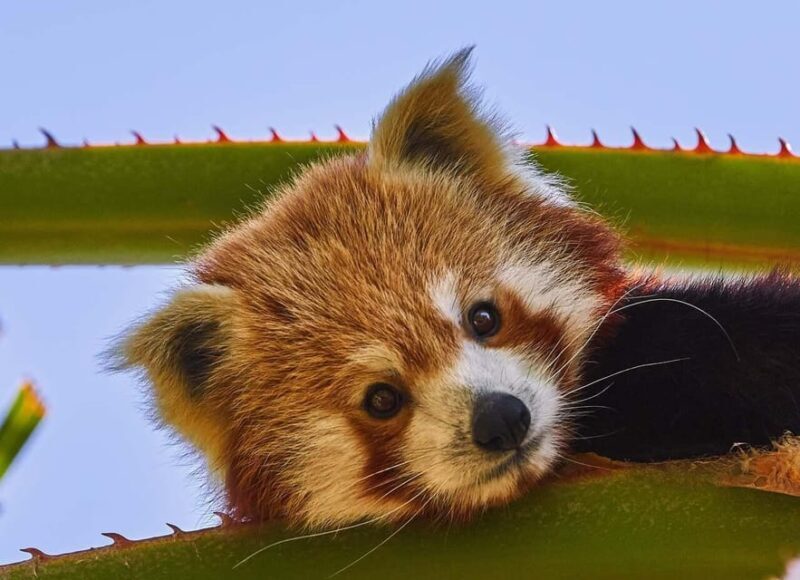 Selwo Aventura Admission Ticket with Skip-the-Line Access - What the Reviews Say