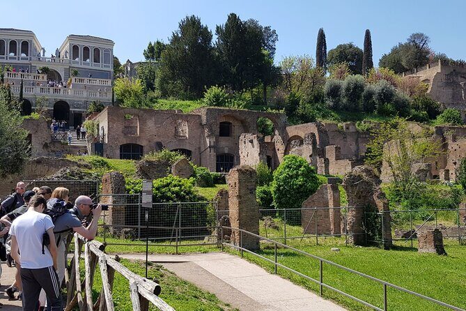 Semi Private Colosseum Underground and Ancient Rome - Who Should Book This Tour?