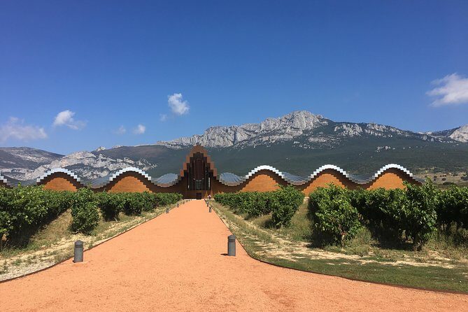 Semi-Private Rioja Tour of 3 Premium Wineries from Bilbao - Key Points