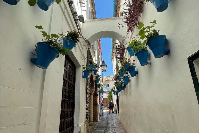 Semi Private Tour to Córdoba from Nerja - The Value of This Tour  