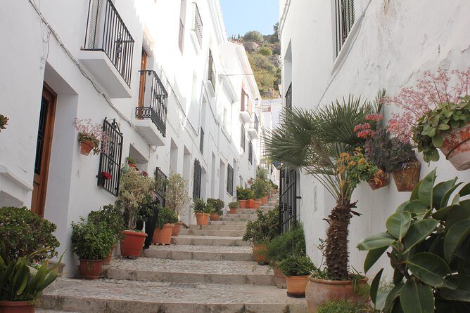 Semi-private Tour to Frigiliana and The Lost Village with lunch included - An In-depth Look at the Tour Itinerary