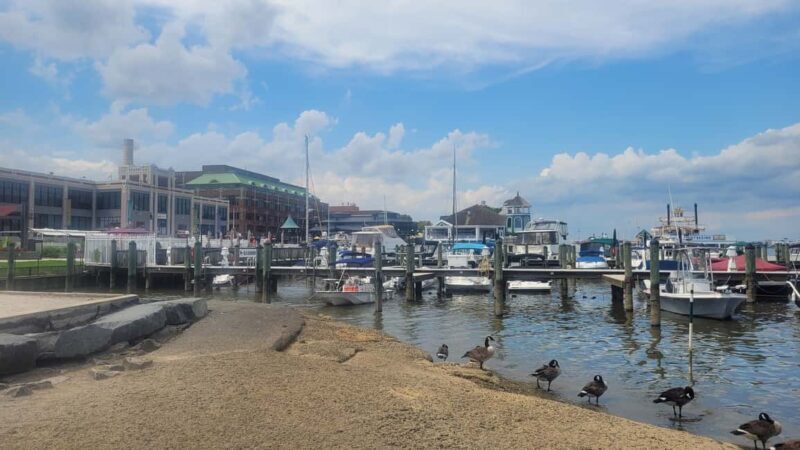 Semi-Private Walking Tour Old Town Alexandria & Carlyle - An In-Depth Look at the Alexandria & Carlyle Tour