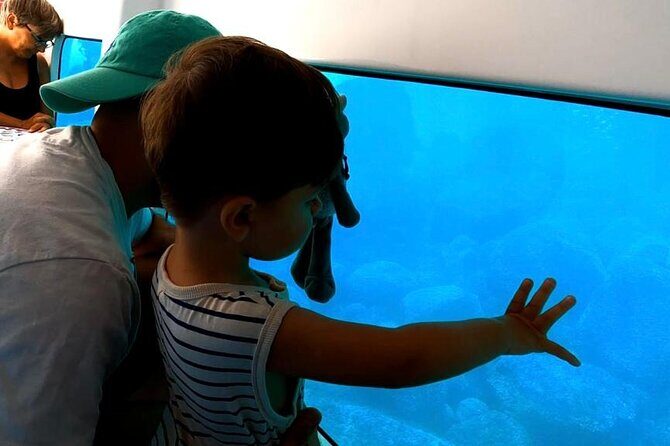 Semi-submarine: visit to the seabed of Porto Bay - Final Thoughts