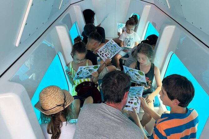 Semi-submarine: visit to the seabed of Porto Bay - FAQ