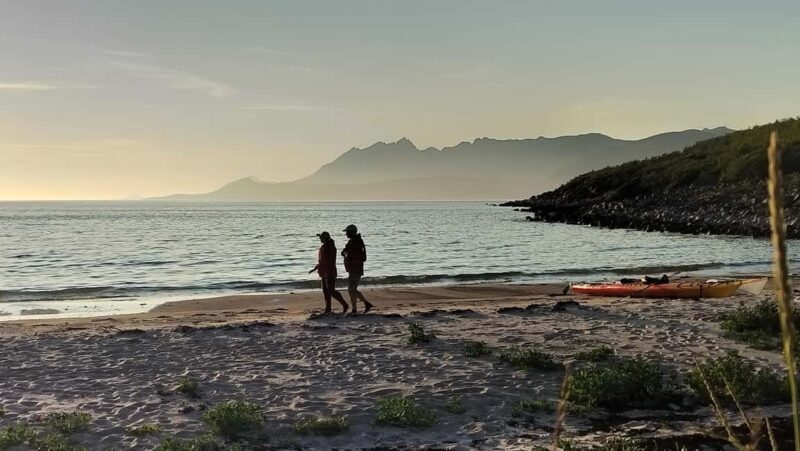 Senja: Guided Small Group Evening Kayaking Tour - Key Points