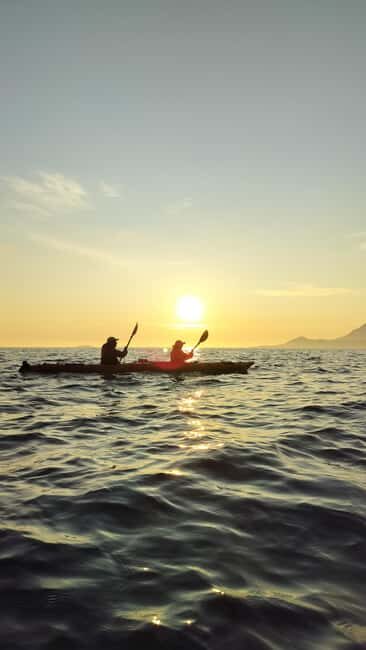 Senja: Guided Small Group Evening Kayaking Tour - Who Will Love This Tour?