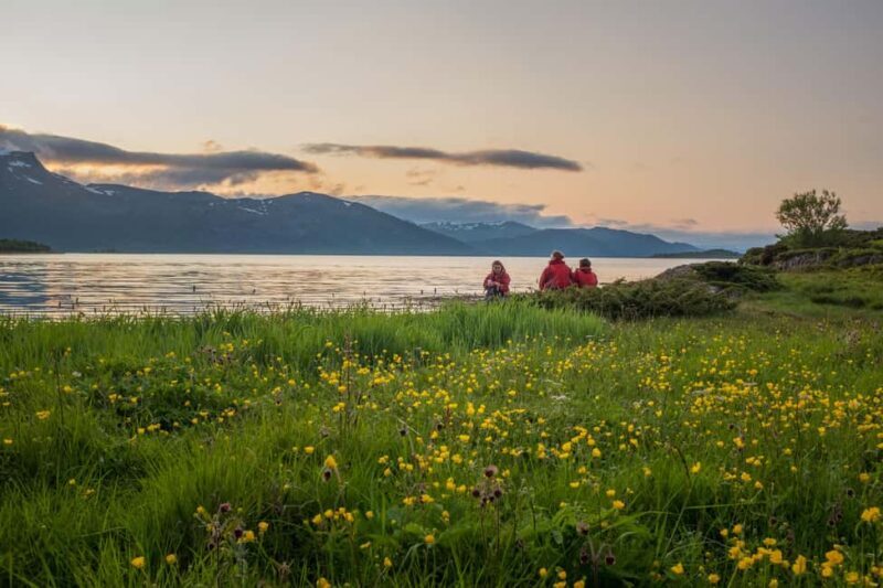 Senja: Guided Small Group Evening Kayaking Tour - Frequently Asked Questions