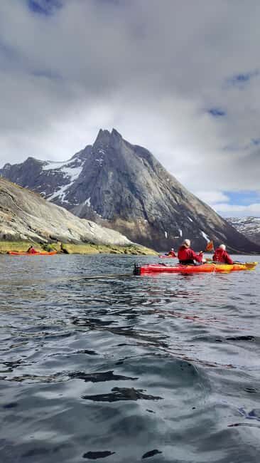 Senja: Guidet Fjord Kayaking in Ånderdalen Nationalpark - Key Points