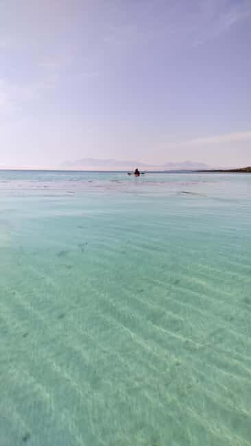 Senja: Guidet Fjord Kayaking in Ånderdalen Nationalpark - The Experience at a Glance
