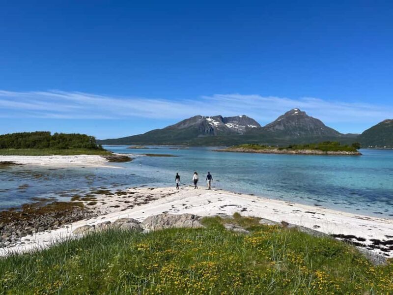 Senja: Guidet Fjord Kayaking in Ånderdalen Nationalpark - Practical Details and What’s Included