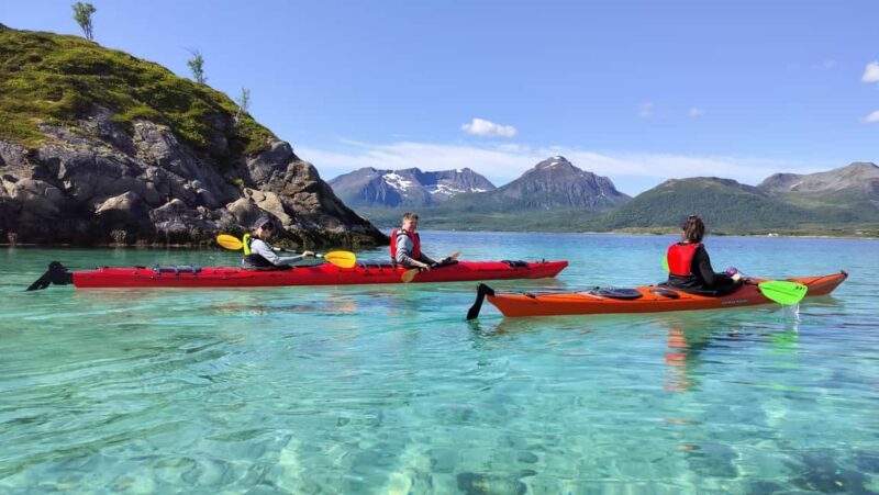 Senja: Guidet Fjord Kayaking in Ånderdalen Nationalpark - Final Thoughts