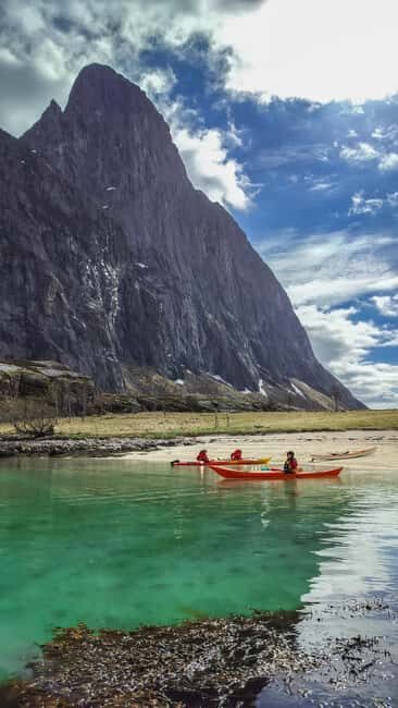 Senja: Guidet Fjord Kayaking in Ånderdalen Nationalpark - Frequently Asked Questions