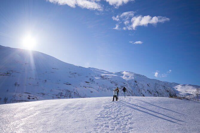 Senja Island: 4x4 Day Tour with Overlanding Senja - Who Should Book This Tour?