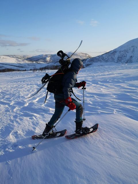 Senja Island: Winter Light Package Deal, 1 Day and 1 Night - Key Points