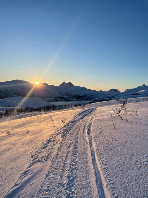 Senja Island: Winter Light Package Deal, 1 Day and 1 Night - Value and Practical Insights