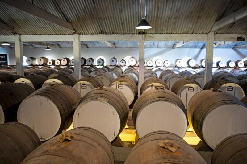 Seppeltsfield Winery: Tour and 100-Year-Old Wine Tasting - Key Points