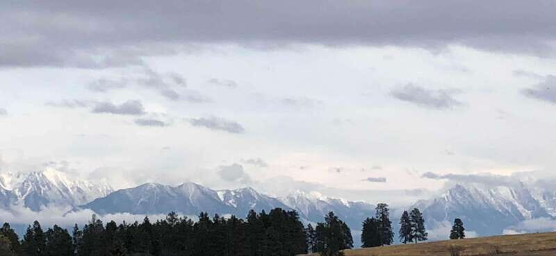 September 2025 British Columbia Rocky Mountain Birding Tour - Key Points