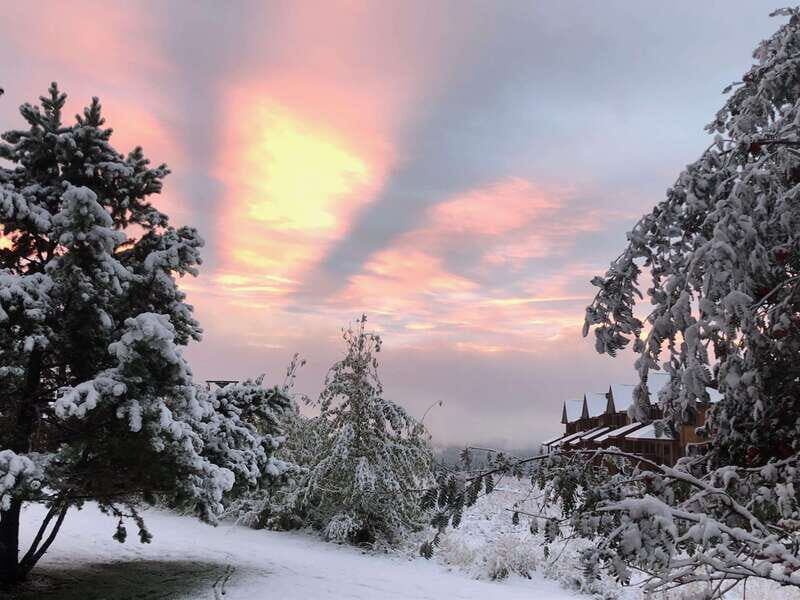 September 2025 British Columbia Rocky Mountain Birding Tour - Who Should Consider This Tour?