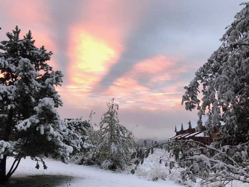 September 2025 British Columbia Rocky Mountain Birding Tour - Final Thoughts