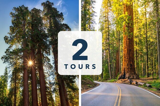 Sequoia and Kings Canyon Audio Tour Self Guide National Park Tour - Key Points