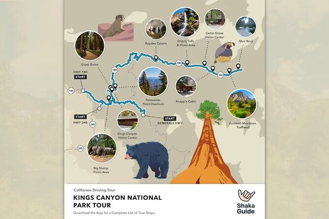 Sequoia and Kings Canyon Audio Tour Self Guide National Park Tour - Why Choose the Sequoia and Kings Canyon Audio Tour?