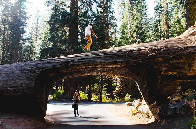 Sequoia & Kings Canyon Two Day Private Tour & Hike - Who Will Appreciate This Tour?