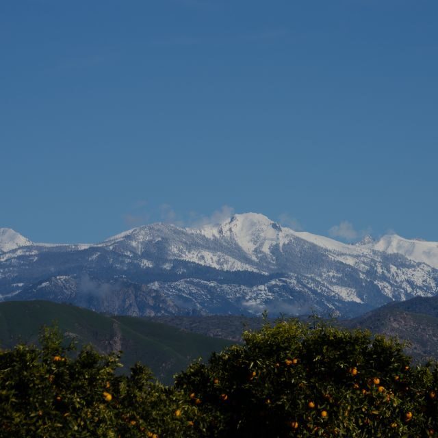 Sequoia National Park: Sherman Tree & Congress Trail Walk - An Overview of the Tour Experience