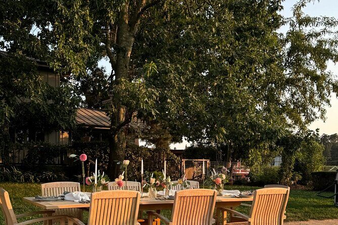 Serene and Romantic Wine Tasting Next to the Vines in Napa Valley - The Experience Breakdown