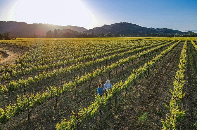 Serene and Romantic Wine Tasting Next to the Vines in Napa Valley - Who Should Book?
