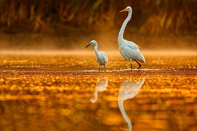 Serenity Cruise to Australia's Everglades - The Value of the Experience