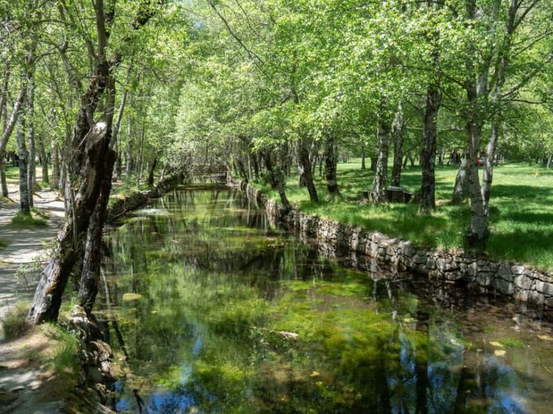 Serra da Estrela: Tour of the Natural Highlights - Key Points
