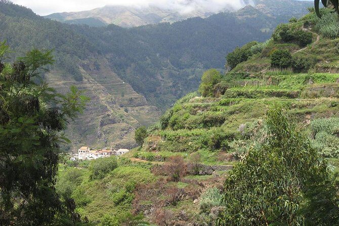 Serra D'Água Valley - Levada Walk - Who Would Love This Tour?