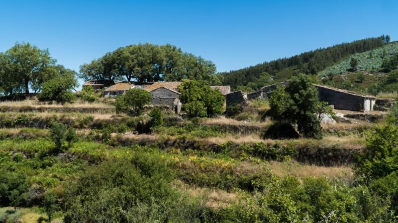 Serra de Monchique & Bravura Half Day Off-Road Day Trip - Key Points