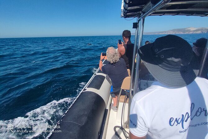 Sesimbra: Arrábida Dolphin and Whale Watching tour with biologist - Authentic Experiences Highlighted by Reviewers