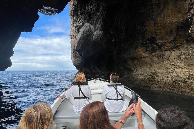 Sesimbra Boat Tour by the Coast in the Marine Park - Exploring the Sesimbra Boat Tour in the Marine Park: A Genuine Review