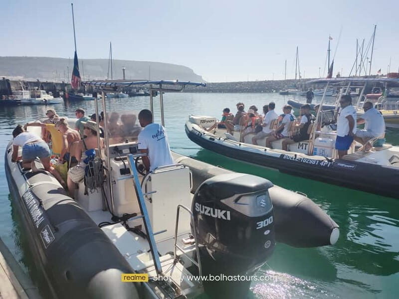 Sesimbra: Dolphin and Whales Watching with Biologist Guide - Key Points