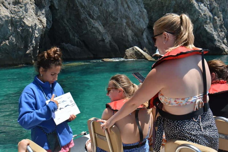 Sesimbra: Dolphin and Whales Watching with Biologist Guide - A Closer Look at the Experience