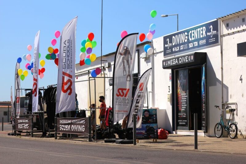 Sesimbra: Dolphin Watching with a marine biologist - Frequently Asked Questions