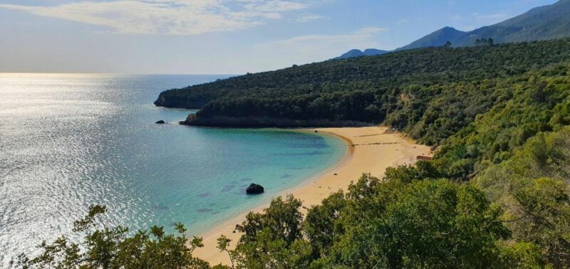 Sesimbra e Arrábida Natural Park: 1 Day Tour & Wine Tasting - Final Thoughts