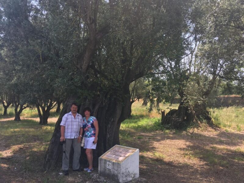 Sesimbra: Half-Day Tour to Arrabida with Wine Tasting - Practical Details and Value