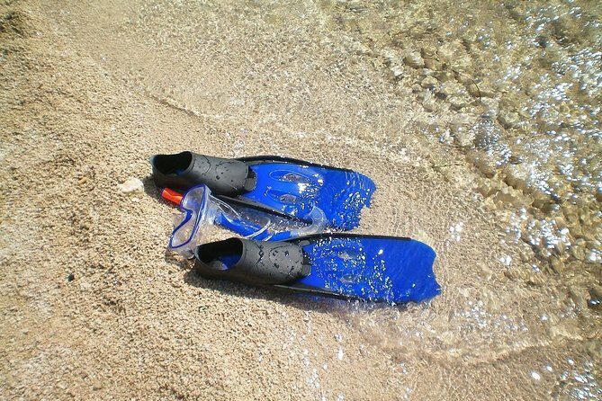 Sesimbra Wild Beach Tour from Lisbon - Who Is This Tour Best For?