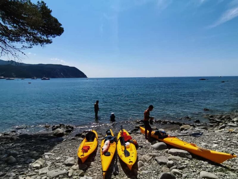 Sestri Levante: Kayak Excursion in the Biodiversity of the Bay of Gold - Key Points