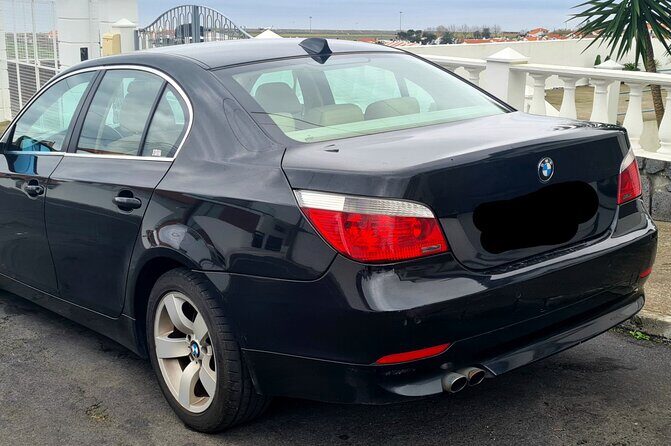 Sete Cidades and Pineapple Plantation Half Day Private Tour - Who Will Love This Tour?