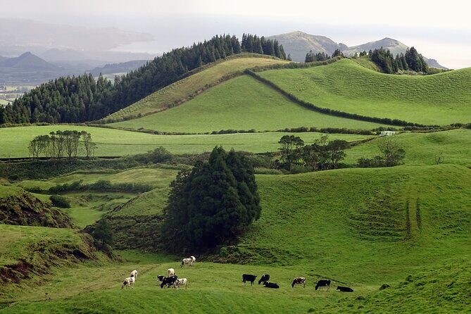 Sete Cidades by Van (half day) - What Travelers Can Expect