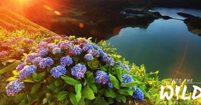 Sete Cidades & Lagoa do Fogo - Full-Day Tour - Final Thoughts: Who Should Book This Tour?