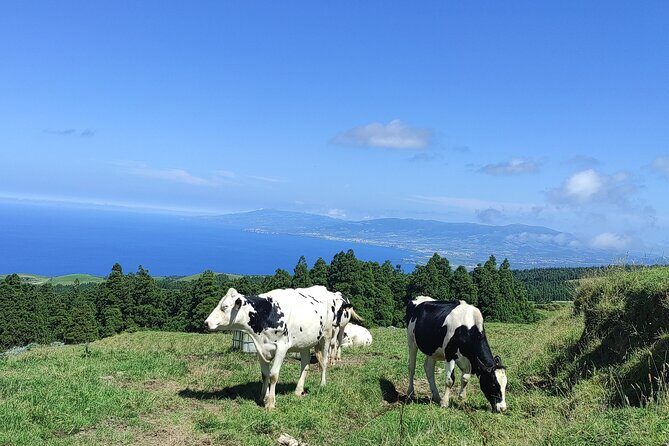 Sete Cidades on Jeep - Exploring the Sete Cidades on Jeep Tour: A Deep Dive