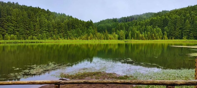 Sete Cidades: West Coast Tour (w/Lunch) - Why This Tour Is Worth Considering