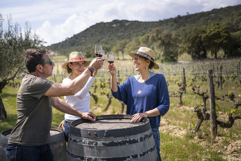 Sète: HalfDay Wine Tour - Key Points  